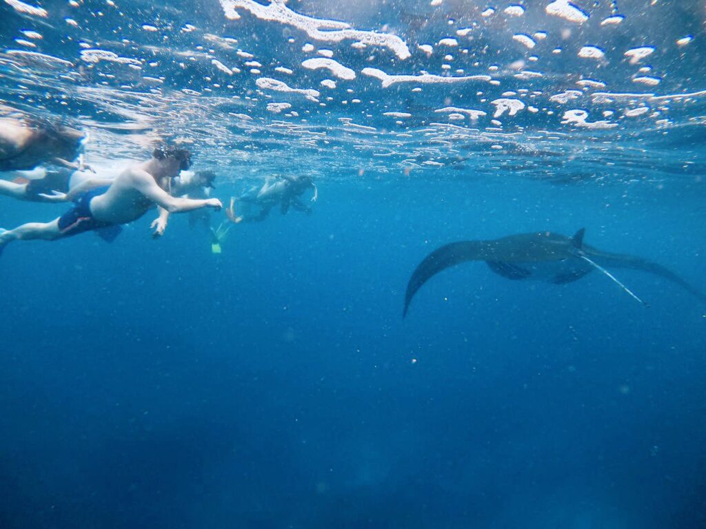 The Difference Between Manta Bay and Manta Point Nusa Penida - Nusa ...